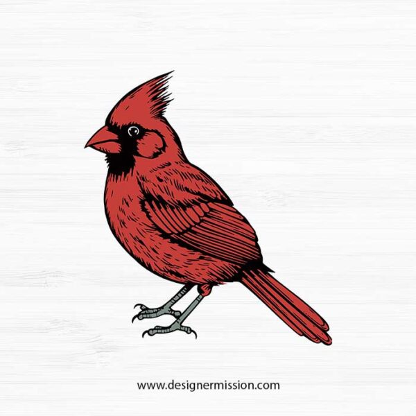 13+ Cardinal SVG Files for Cricut – Peaceful Bird Art